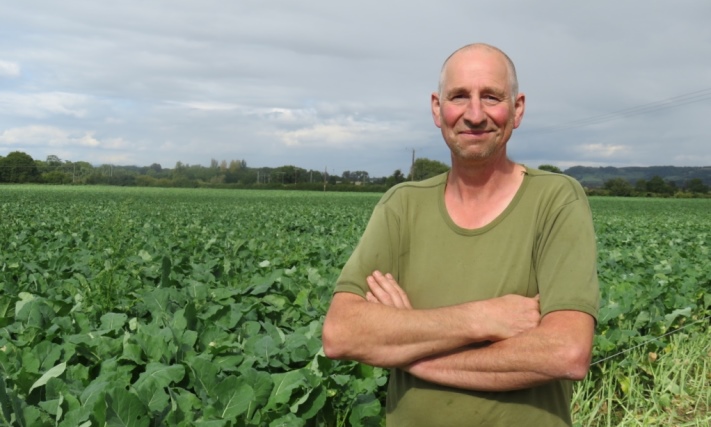Winfred offers dairy cows variety in their autumn grazing
