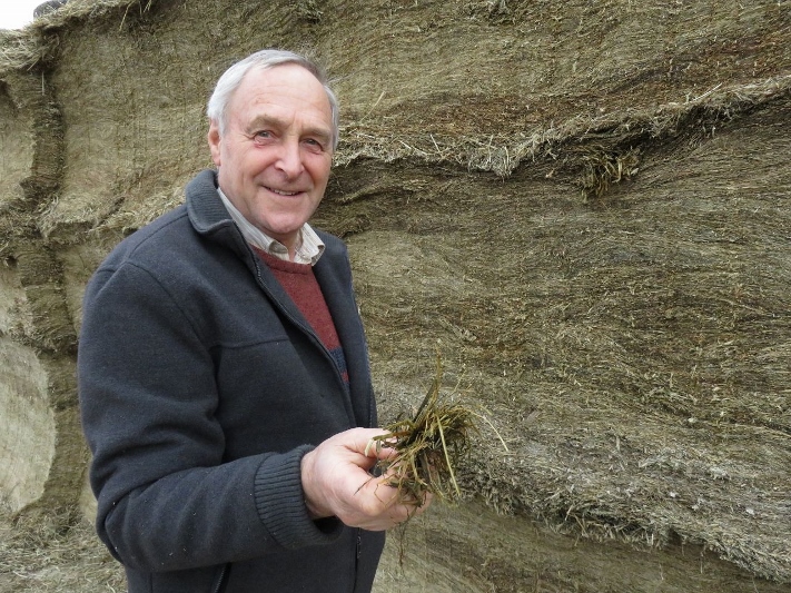 Somerset farmer produces milk from high quality silage leys